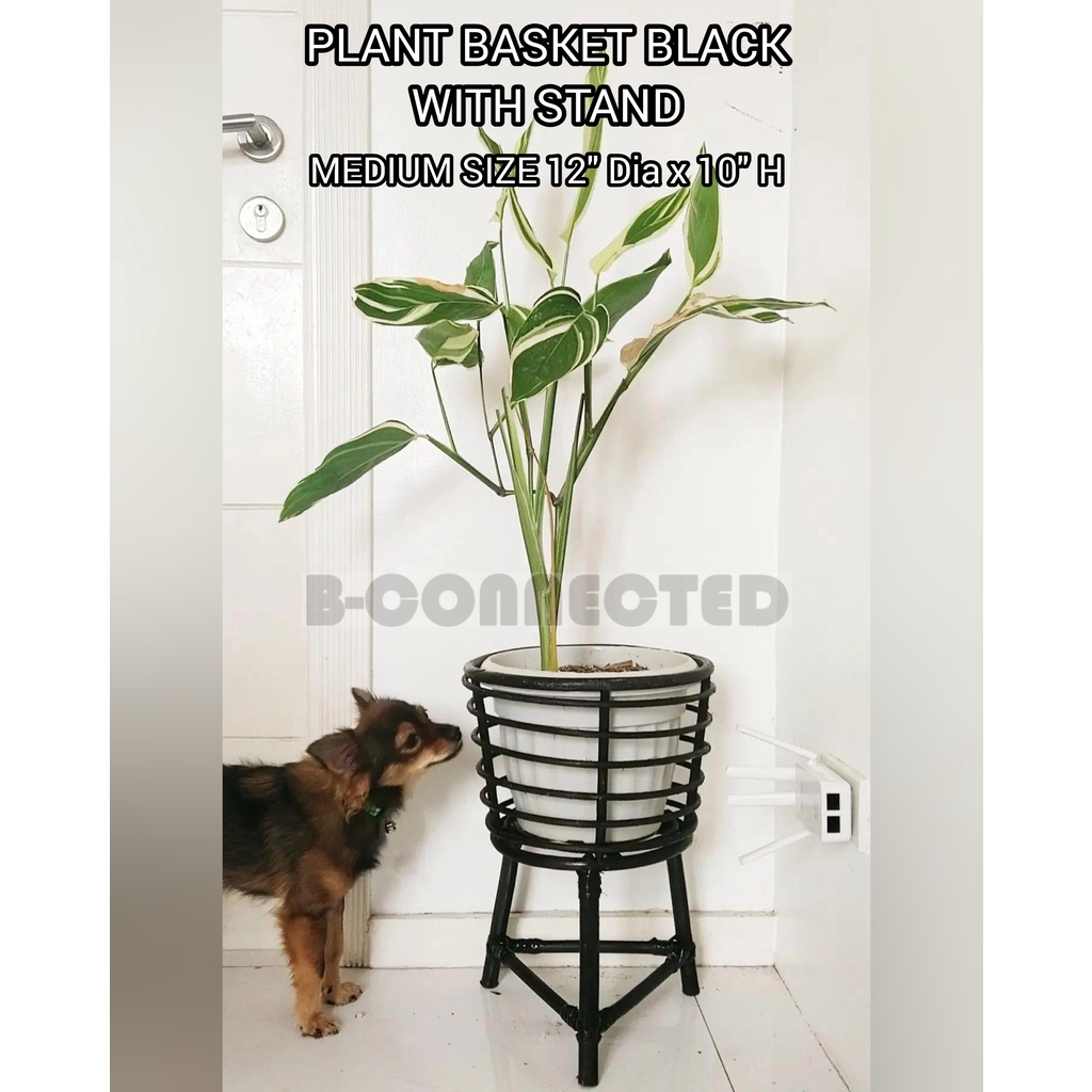 QUALITY PLANT BASKET WITH STAND BIG SIZES / RATTAN BASKET / STORAGE ...