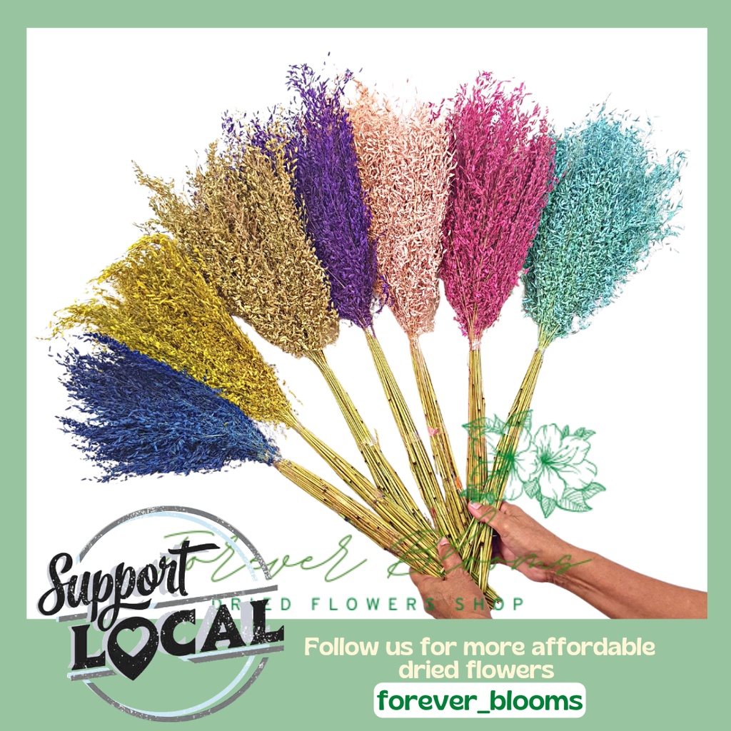 Dried Local Misty Rice (Full Bundle | Dried Flowers | Preserved Flowers ...