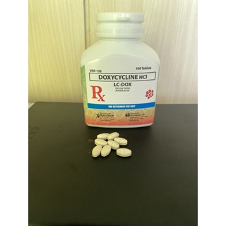 doxycycline - Best Prices and Online Promos - Feb 2023 | Shopee Philippines
