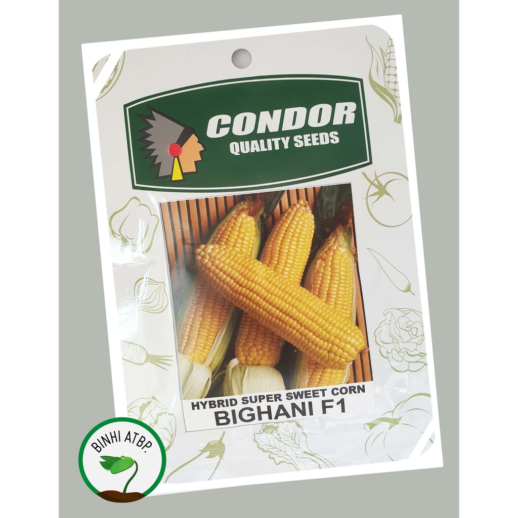Condor Sweet Corn Bighani F1 Seeds (10 Gr Pack) | Shopee Philippines