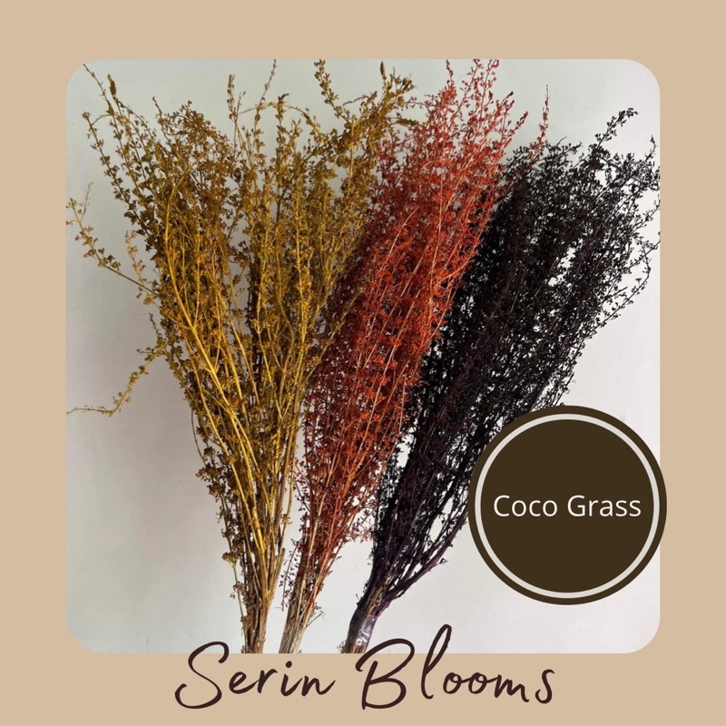 Local Dried Coco Grass/Flower sold per bundle | Shopee Philippines