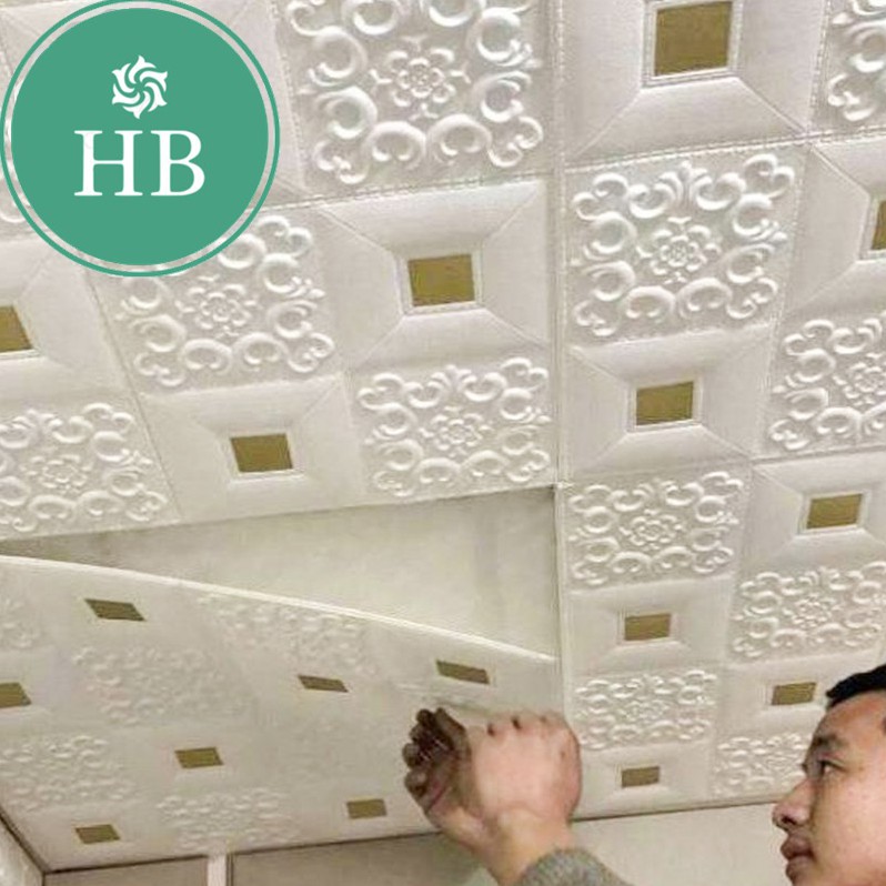 Ready Stock Ceiling Wallpaper 3D ceiling foam 35x35cm wall decor ...