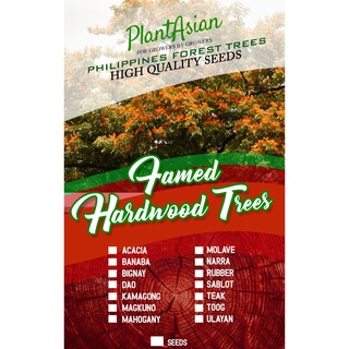 RAINBOW EUCALYPTUS OR BAGRAS TREE SEEDS | Shopee Philippines