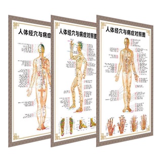dh Human Body Acupuncture Map Whole Traditional Chinese Medicine ...