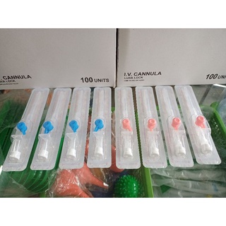 CATHULA IV CANNULA 20G & 22G (Sold per piece) | Shopee Philippines