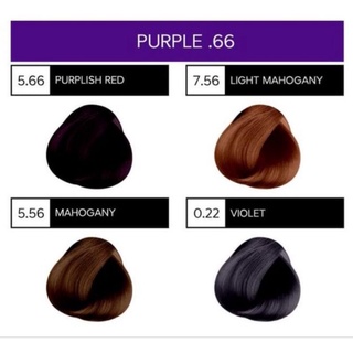 BREMOD hair color (RED, COPPER, PURPLE SERIES | Shopee Philippines