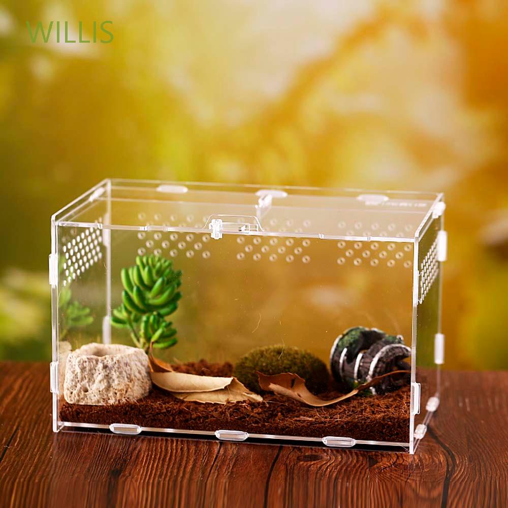 WILLIS Transparent Hatching Terrariums Acrylic Breeding Box Reptile ...