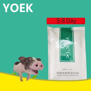 York boar semen dilution powder pig artificial insemination ...