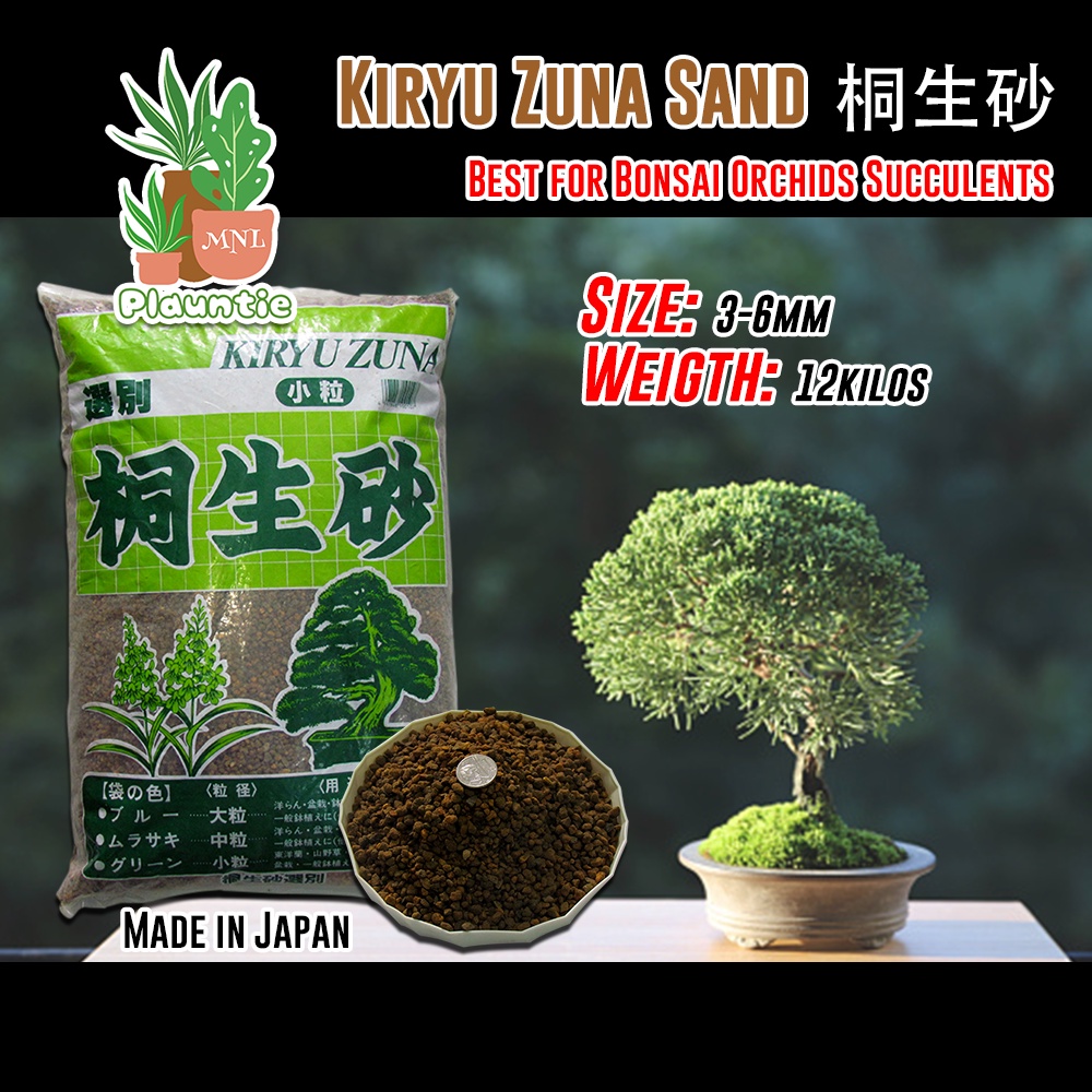 kiryuzuna Soil (Japan Premium Quality) for Bonsai, cactus and ...