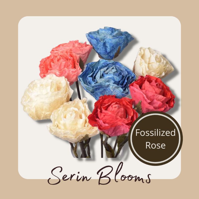 Fossilized Rose(1 stem only) | Shopee Philippines