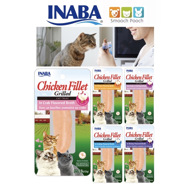 Inaba Chicken Fillet in Flavored Broth Cat Treat 15g (1 Pouch) | Shopee Philippines