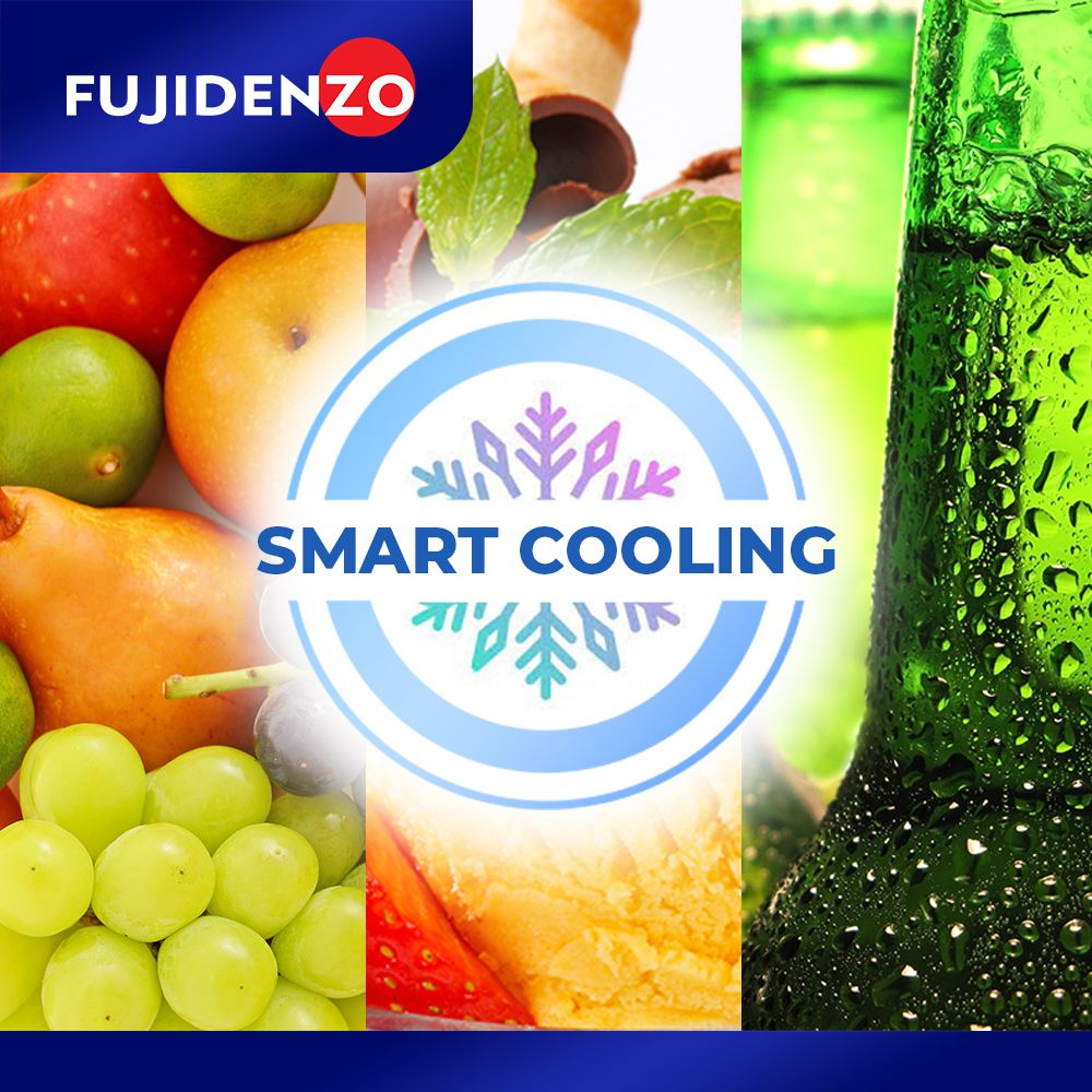 Fujidenzo 12.8 cu.ft. HD Inverter 2-door No Frost Refrigerator INR-128S ...