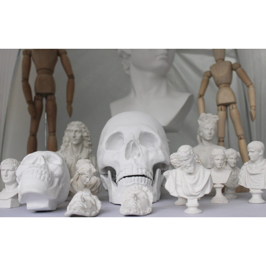 TOPS MANNEQUIN & MODELS (2) (Apollo,Diana,head muscles,skull) | Shopee ...