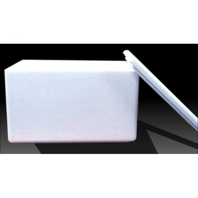 STYRO BOX / FISH BOX / PORTABLE STYRO BOX | Shopee Philippines