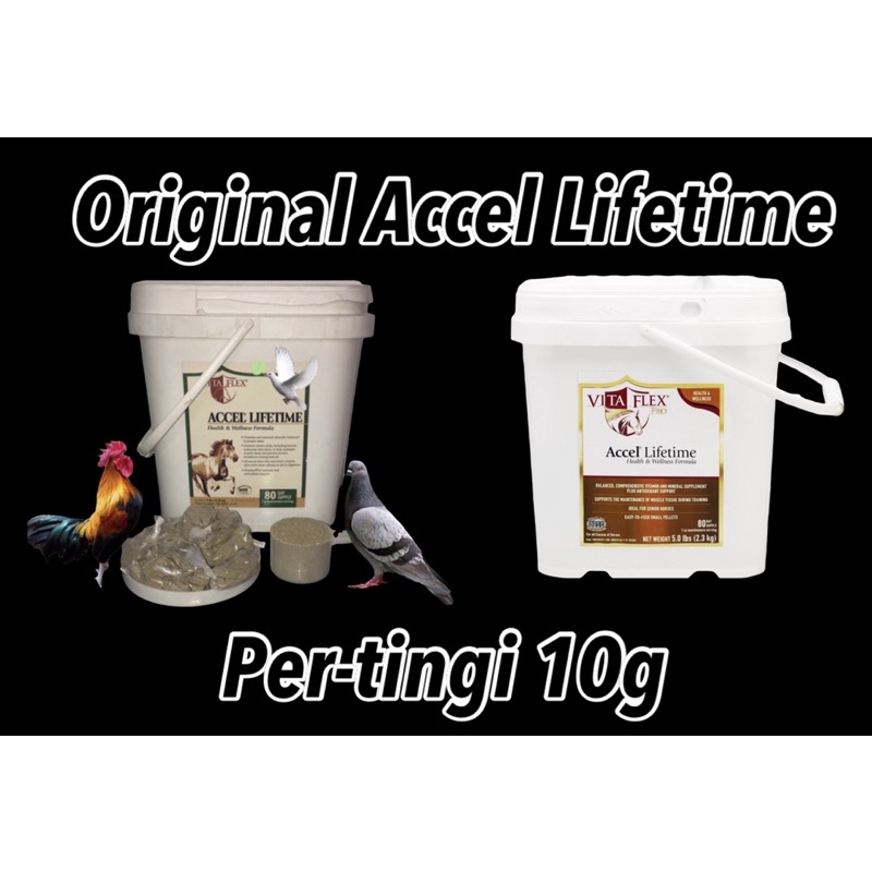 Accel Lifetime Original ImportedFor Racing Pigeon, Fighting Cock and ...