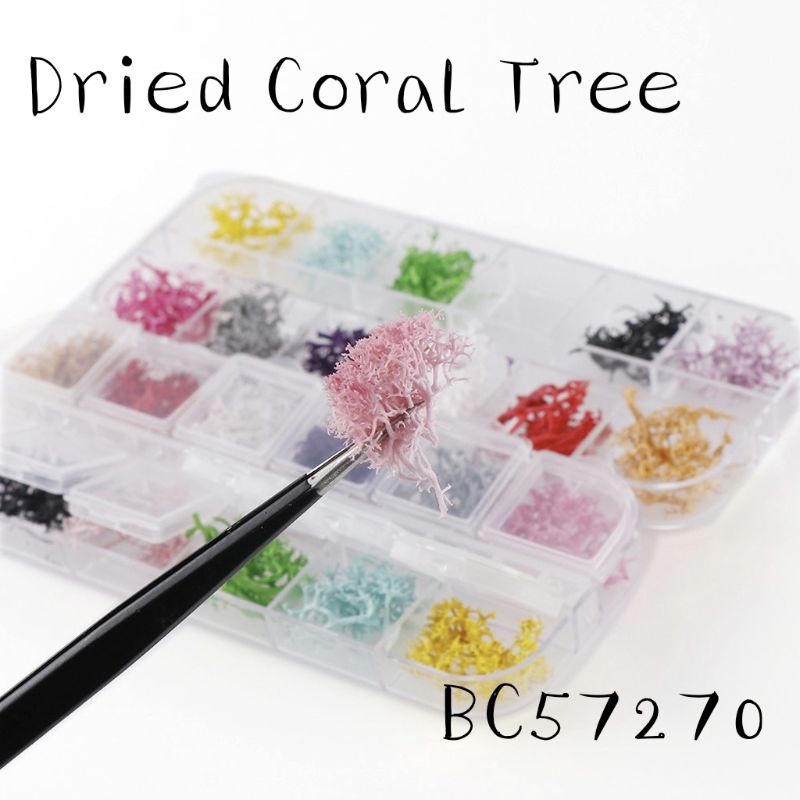 Dried Coral tree for resin and art Mini corals Coral reef theme Under ...