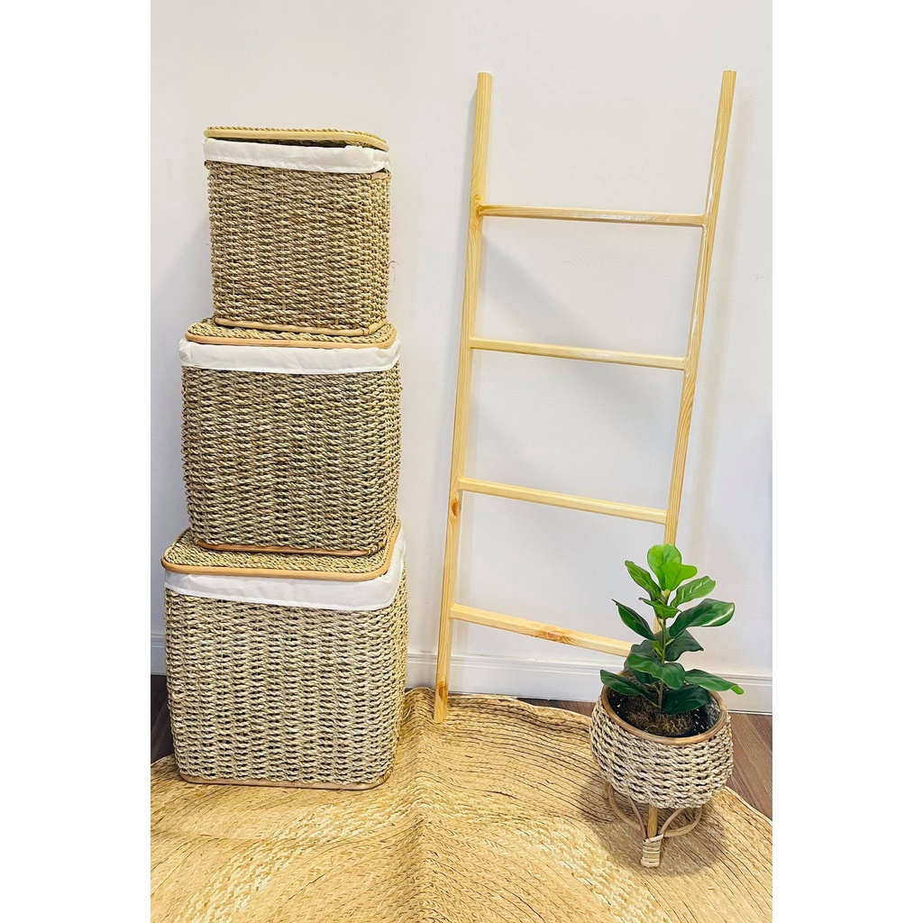 buri - Best Prices and Online Promos - Dec 2022 | Shopee Philippines