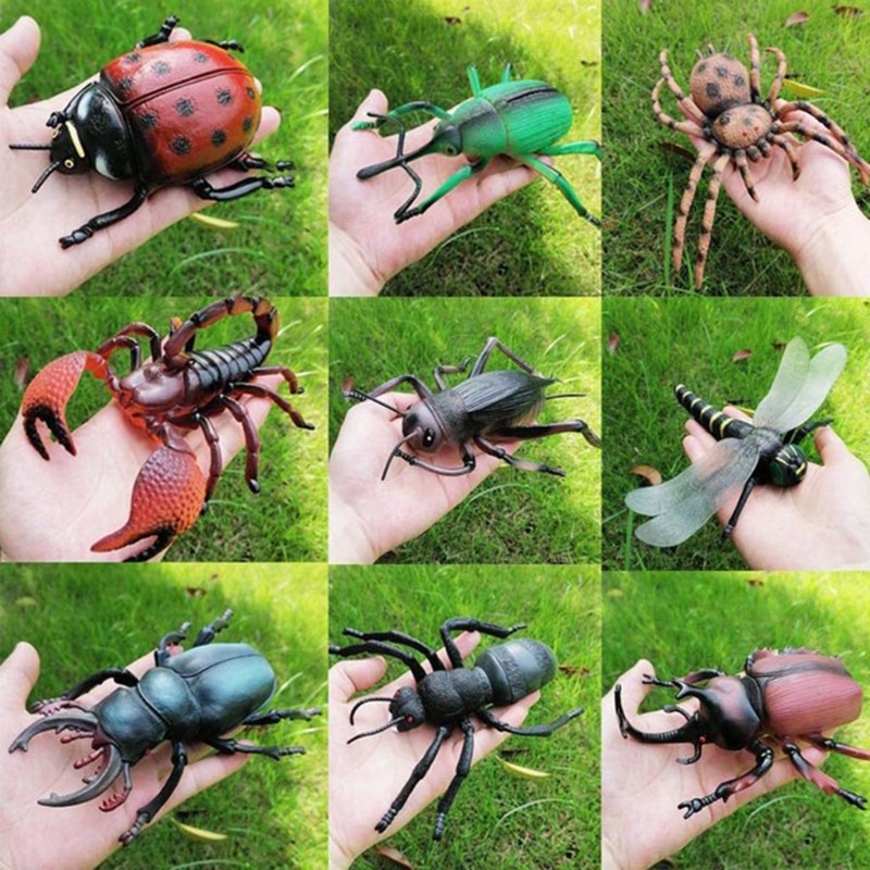 WMMB Creepy Lifelike Fake Realistic Spiders Cricket Ladybug Grasshopper ...