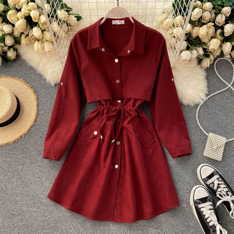 Vintage Casual Dress Ladies Fashion Lapel Single Breasted Short Dress ...