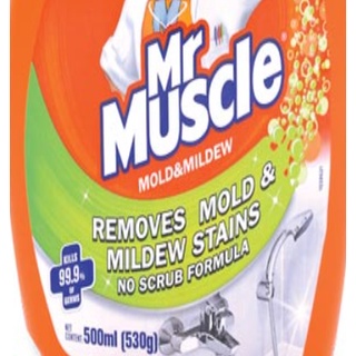 Mr Muscle Mold & Mildew Cleaner refillable 500mL | Shopee Philippines