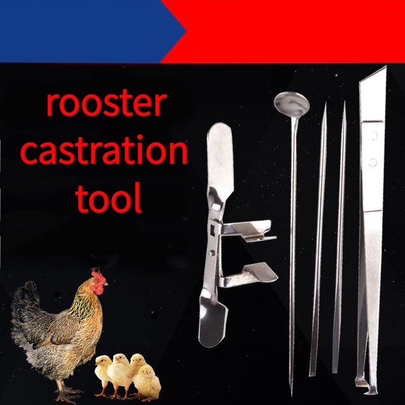 High Quality 5PCS Chicken capon kit tools cock rooster caponizing ...