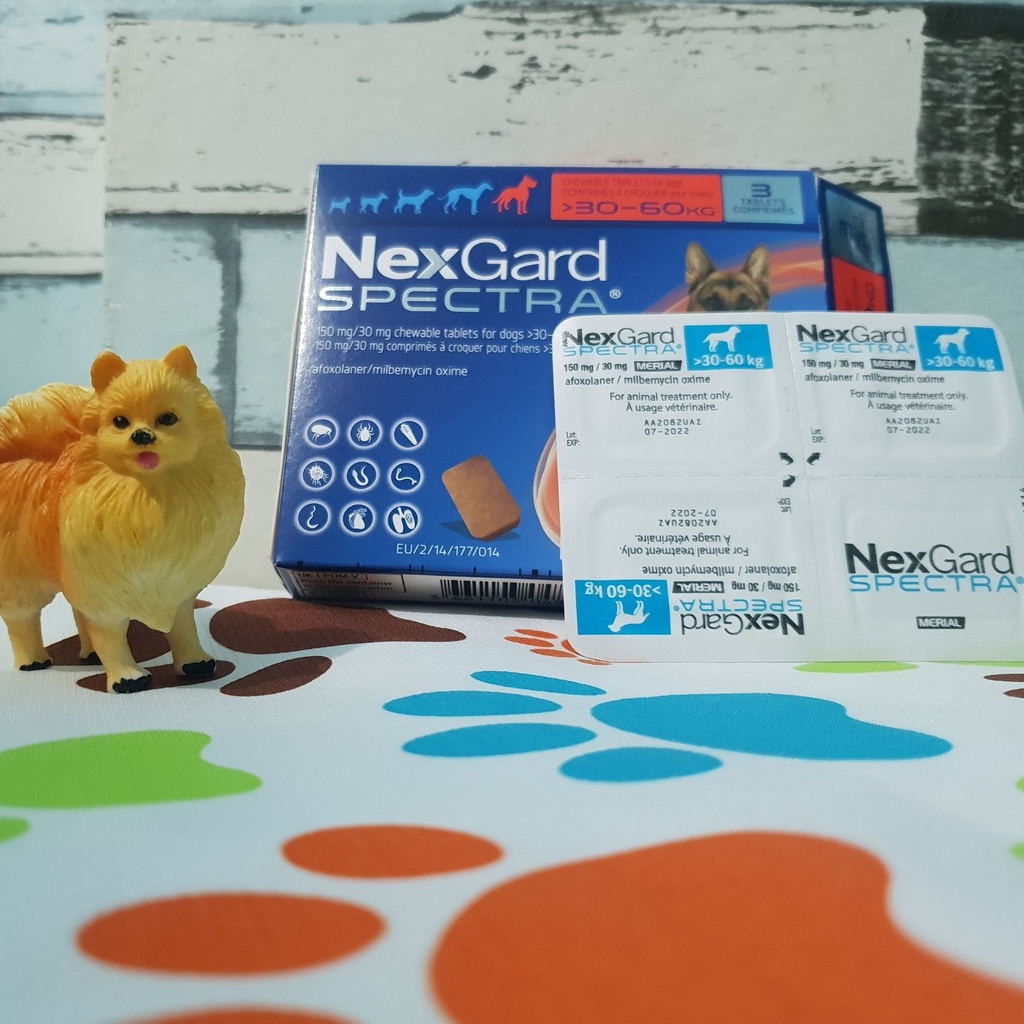 NexGard Spectra Chewable for Dogs 30-60 Kgs 1 Tablet | Shopee Philippines