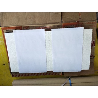 1ft x 2ft StyroFoam Styro Board - [1/2 inch Thick] | Shopee Philippines