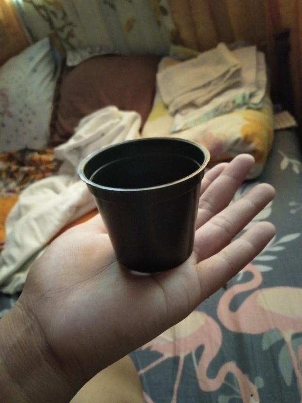 MINI pot, taho pot, EXTRA SMALL pot | Shopee Philippines