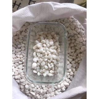 White marble stone/pebbles stone/aquarium stone(1kg) | Shopee Philippines