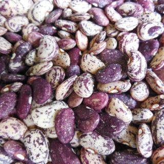 Lima Beans "Patani" Vegetables | Shopee Philippines