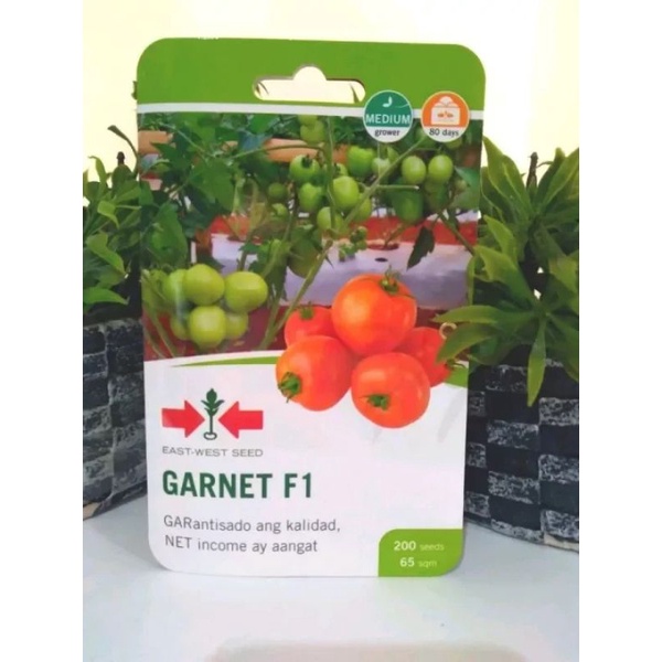 Garnet F1 Tamato(Kamatis)East West Seed (200seeds) | Shopee Philippines