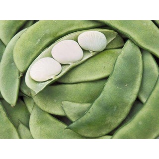 Patani (Lima) BIG Seeds vegetable-3g | Shopee Philippines