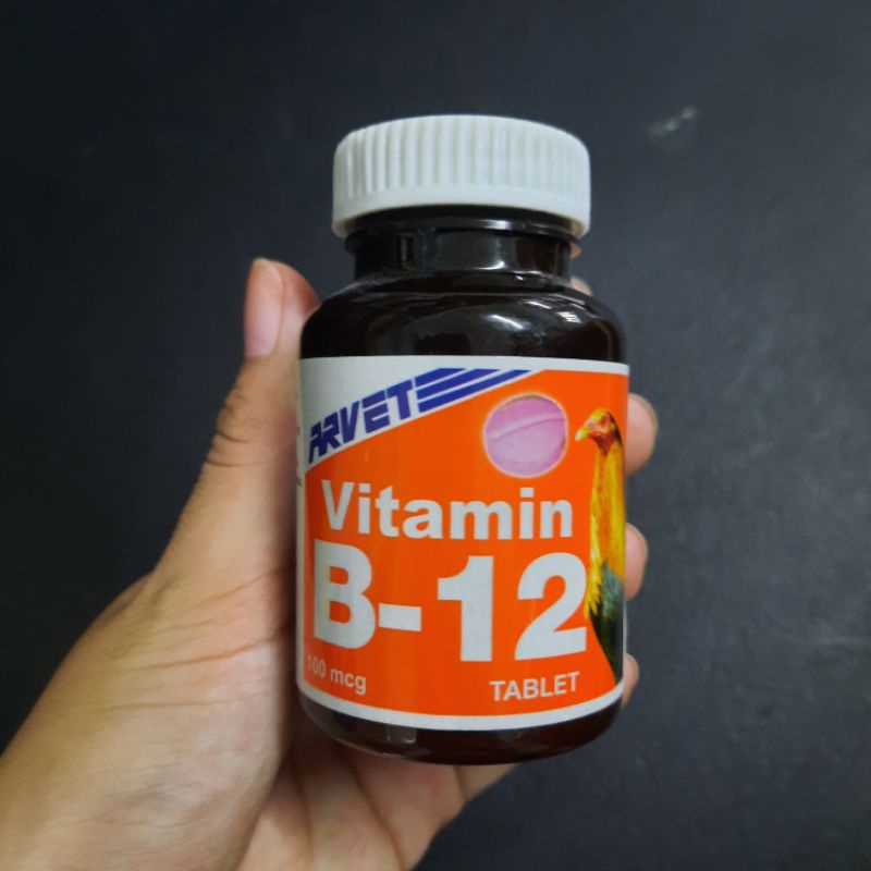 ARVET B-12 TABLET BILOG (1 BOTTLE/100 TABLETS) | Shopee Philippines