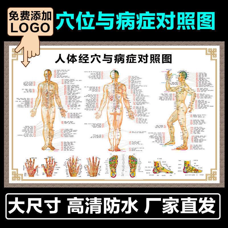 dh Human Body Acupuncture Map Whole Traditional Chinese Medicine ...