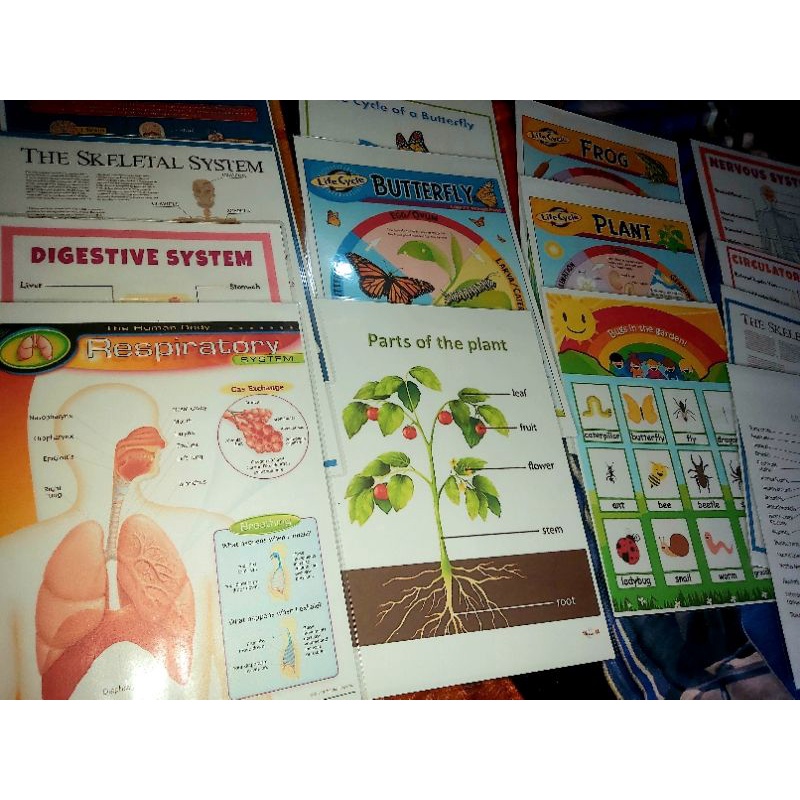 A4 SCIENCE Laminated Educational Wall chart for kids | Shopee Philippines
