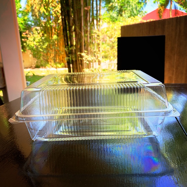 Food Cake Pastry Tray Box Clamshell Container L200 Plastic Container ...