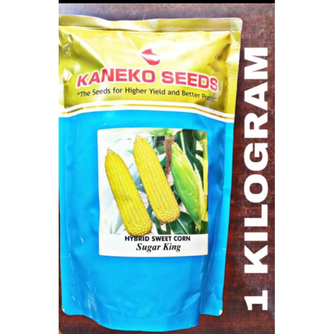 SUGAR KING HYBRID SWEET CORN SEEDS JAPANESE SWEET CORN 1 KILO BY KANEKO ...