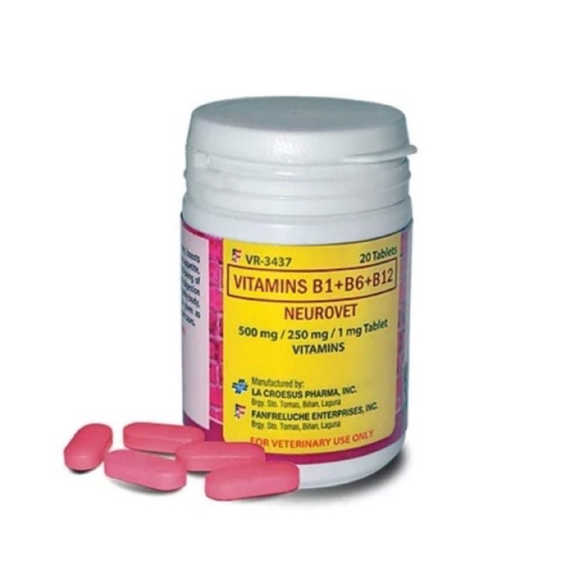 Neurovet Vitamins 20 Tablets For Pets Anti Distemper | Shopee Philippines
