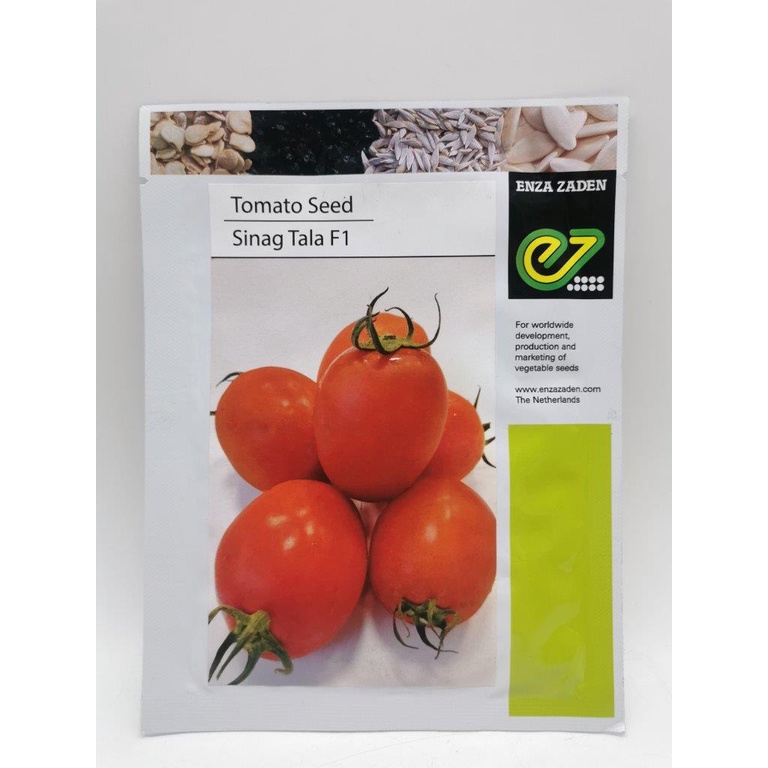 ENZA ZADEN T0MATO SINIG TALA SEEDS ( 7500 SEEDS ) | Shopee Philippines