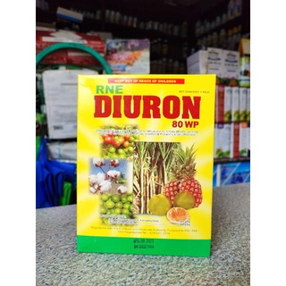 Diuron 80 WP Herbicide (Pamatay Damo ng Pinya, atbp) | Shopee Philippines