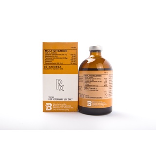 Belman Laboratories, Online Shop | Shopee Philippines