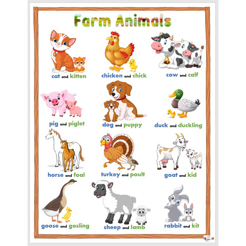 Laminated chart "Farm Animals" educational charts for kids(8.5x11 ...