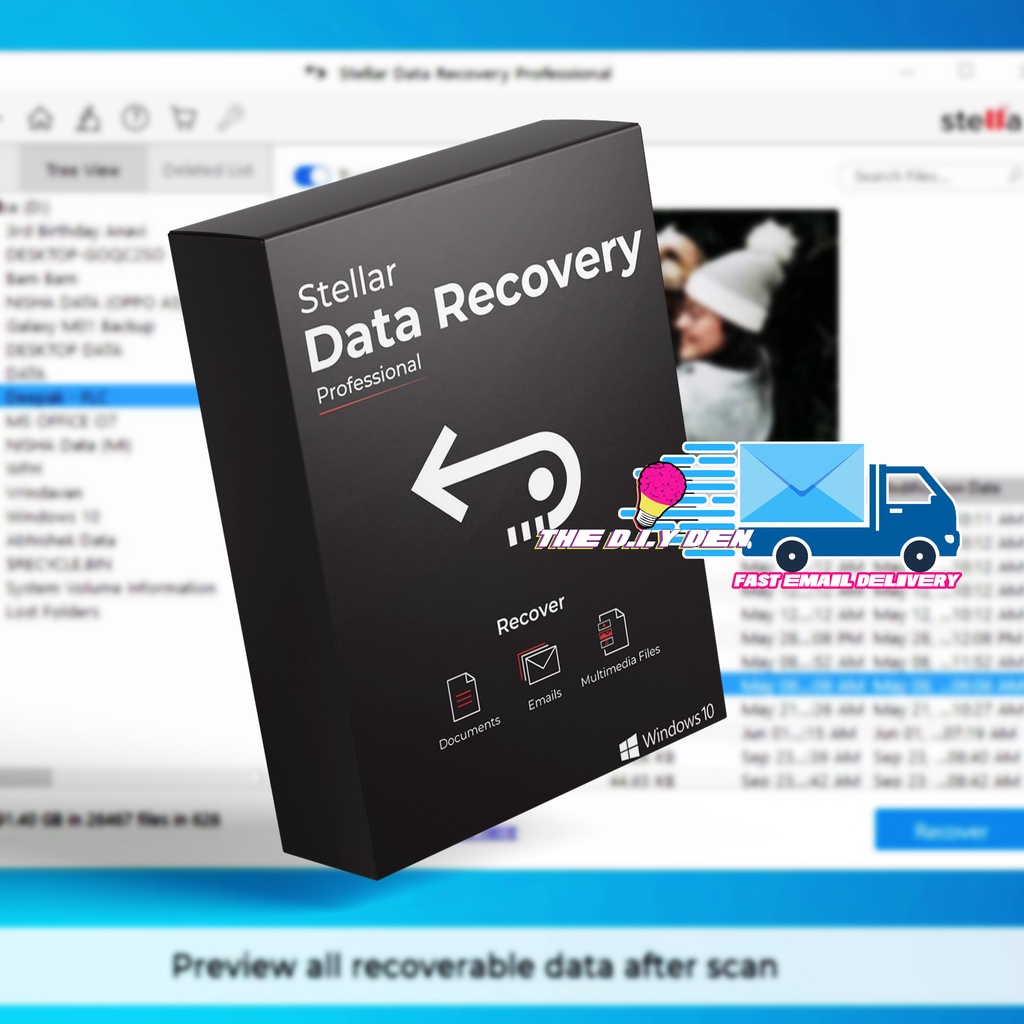 Stellar Phoenix Data Recovery Professional (Premium) | Shopee Philippines