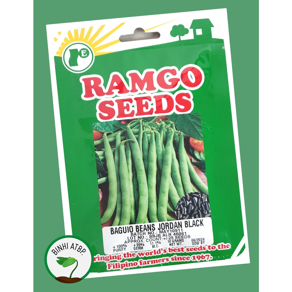 Ramgo Baguio Beans (Snap Beans) Jordan Black Seeds | Shopee Philippines