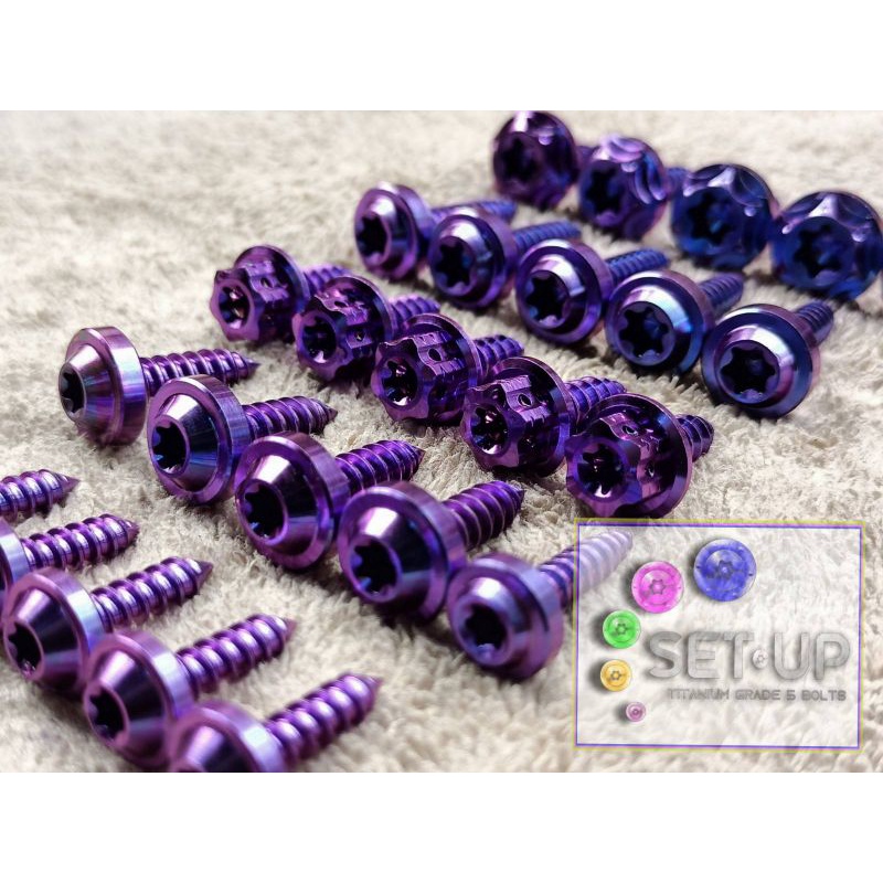 TITANIUM GR5 BODY BOLTS SCREW ( Per piece | Shopee Philippines