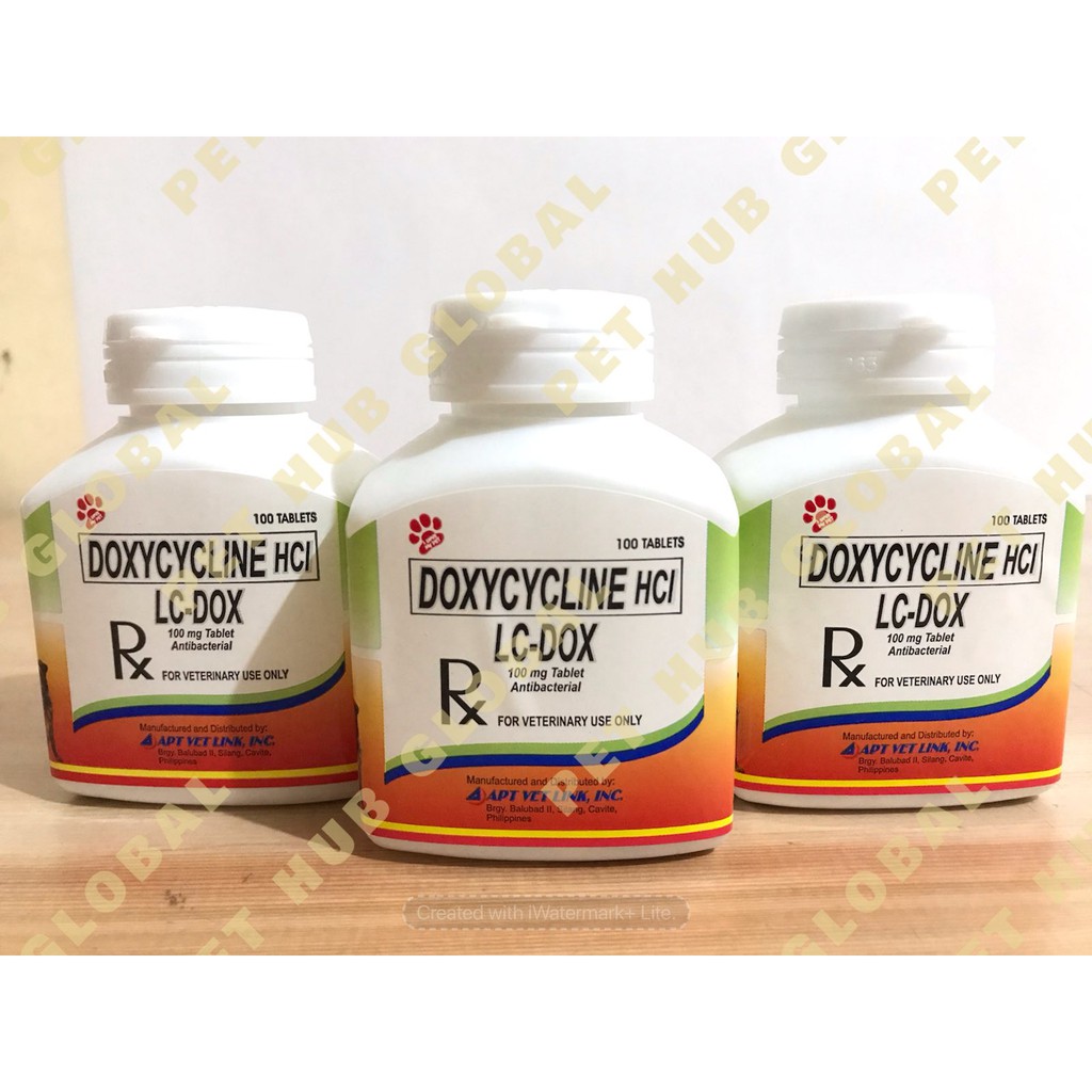 LC DOX 100 TABLETS FOR DOGS & CATS | Shopee Philippines