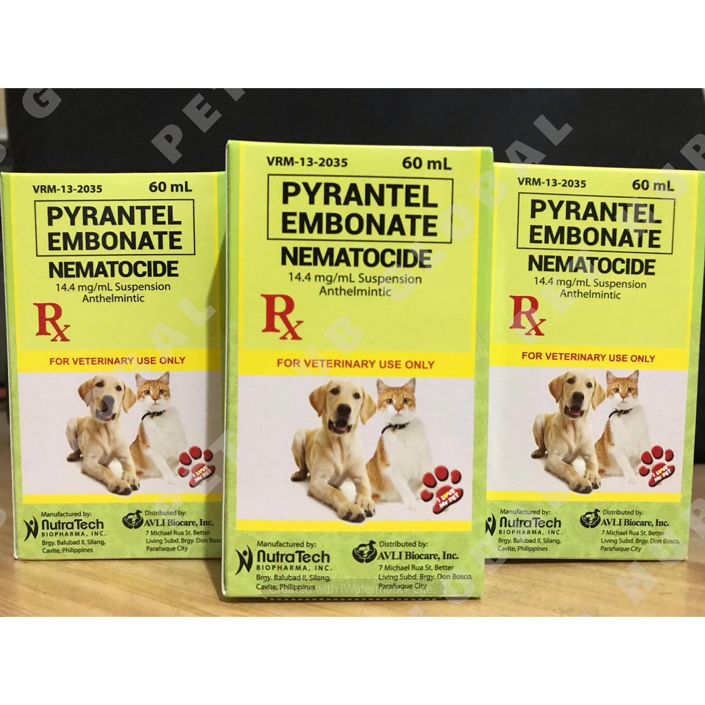 NEMATOCIDE DEWORMER 60mL FOR DOGS & CATS | Shopee Philippines NEMATOCIDE DEWORMER 60mL FOR DOGS & CATS | Shopee Philippines
