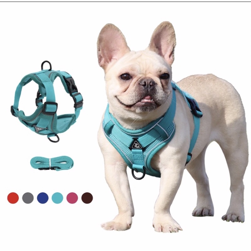 Pet dog harness Leash sublimation blank vest net for Small to Medium ...