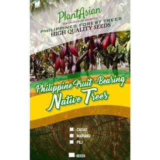 RAINBOW EUCALYPTUS OR BAGRAS TREE SEEDS | Shopee Philippines