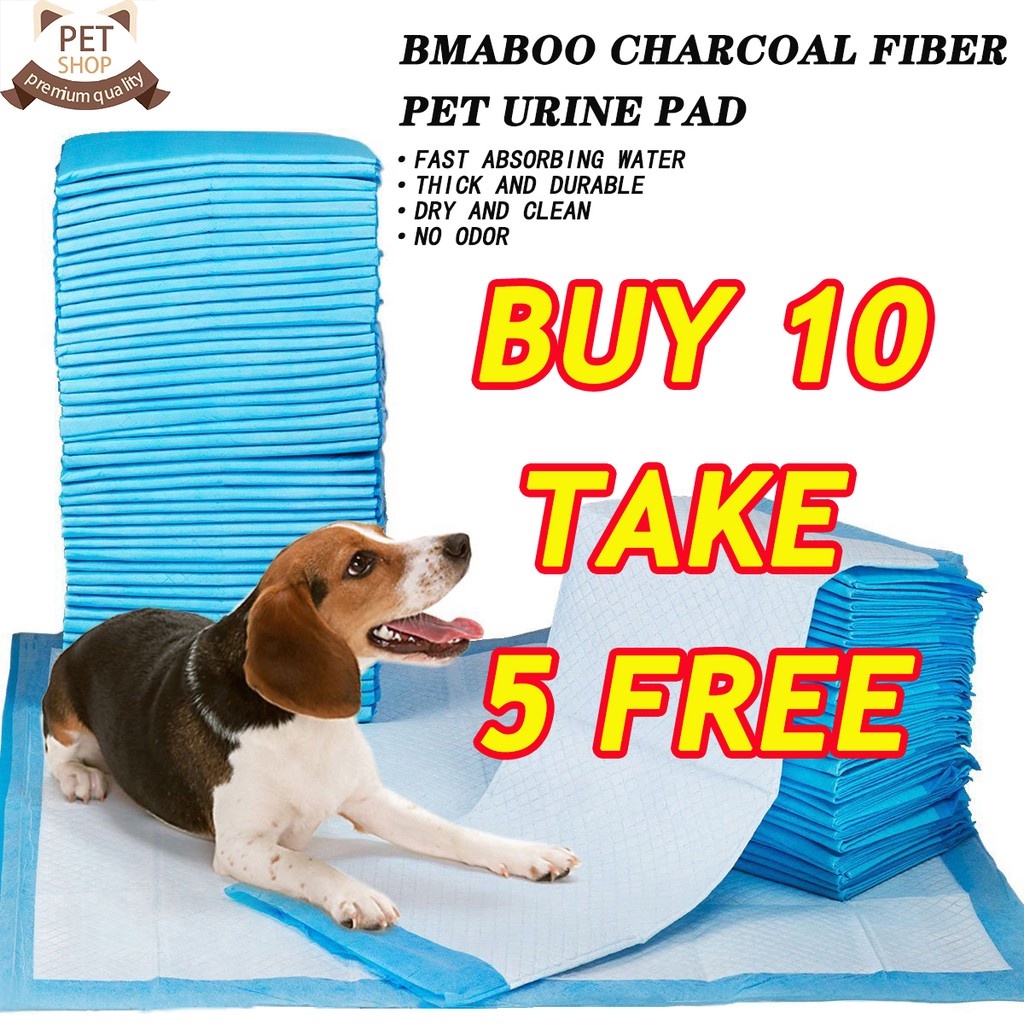 Do Dogs Poop On Pee Pads